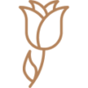 Penang Florist - Free Same-Day Flower Delivery | SweetLife & Co.